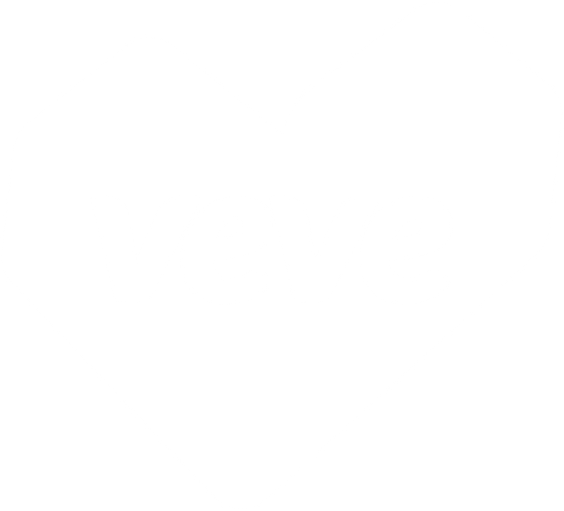 About VeVe